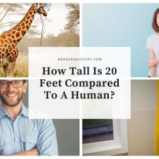 How Tall Is 20 Feet Compared To A Human? – Measuring Stuff