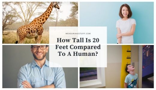 How Tall Is 20 Feet Compared To A Human? – Measuring Stuff
