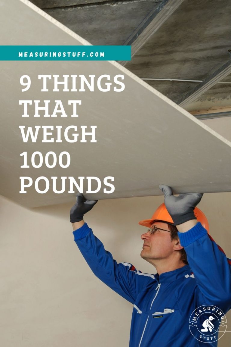 9 Things That Weigh 1000 Pounds (#9 Is Shocking) – Measuring Stuff