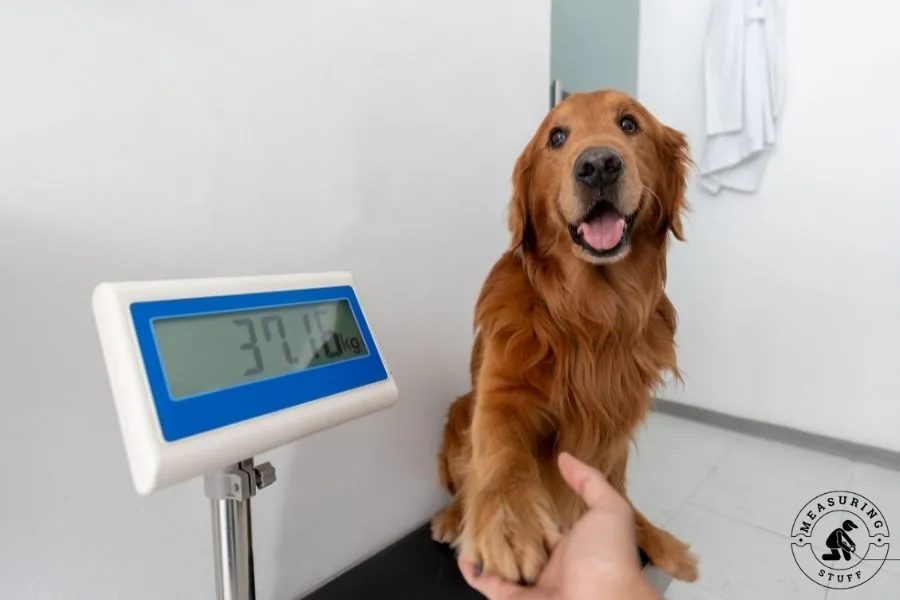 Examples Of Things Measured In Grams And Kilograms Measuring Stuff Examples Of Things Measured In Grams And Kilograms Measuring Stuff