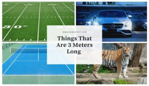Things That Are 3 Meters Long (9 Examples) – Measuring Stuff