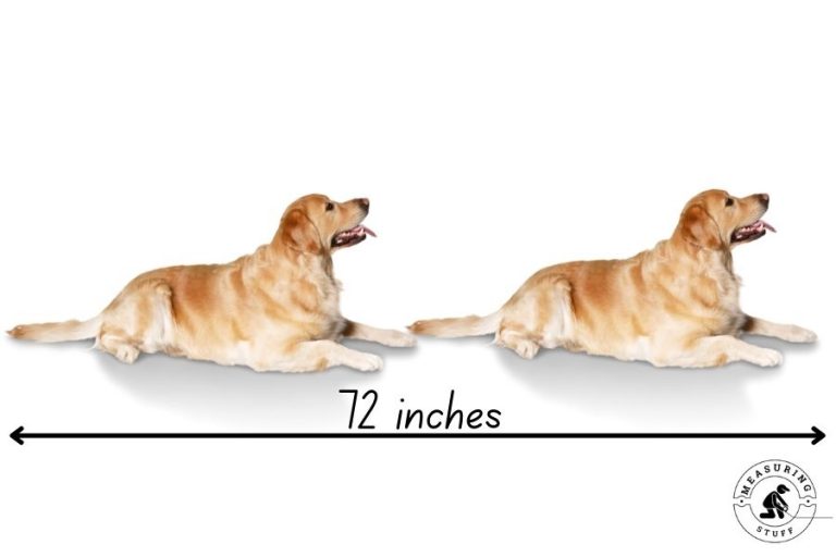 How Long Is 72 Inches Compared To An Object Measuring Stuff How Long Is 72 Inches Compared To An Object Measuring Stuff