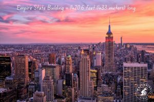 How Far Is 100 Meters? (With Visuals) – Measuring Stuff