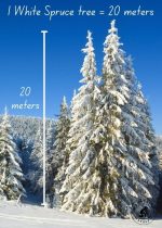 How High Is 20 Meters? (With 6 Examples) – Measuring Stuff