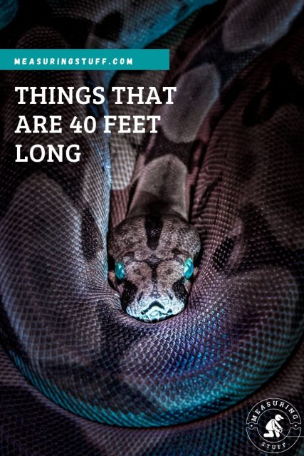 9 Things That Are 40 Feet Long – Measuring Stuff