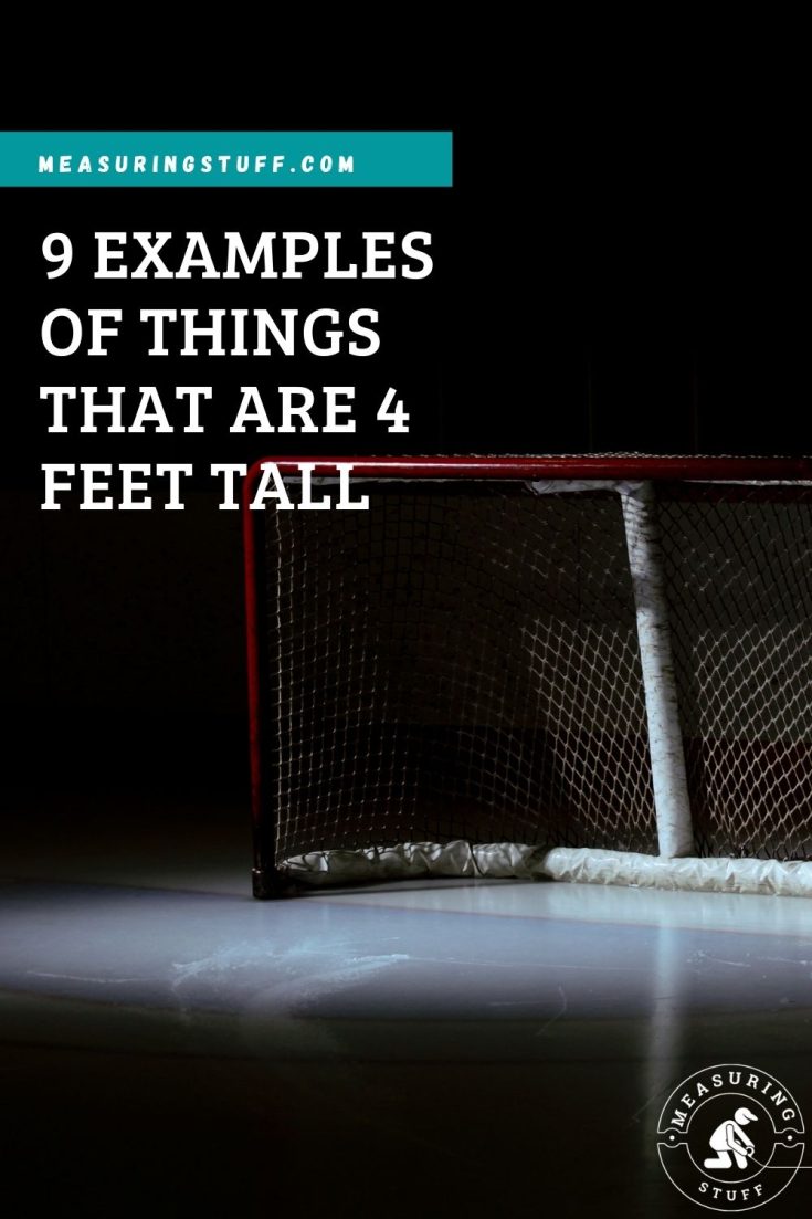9 Examples Of Things That Are 4 Feet Tall – Measuring Stuff