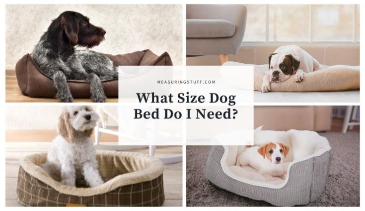 What Size Dog Bed Do I Need? Tips For Choosing The Right One ...