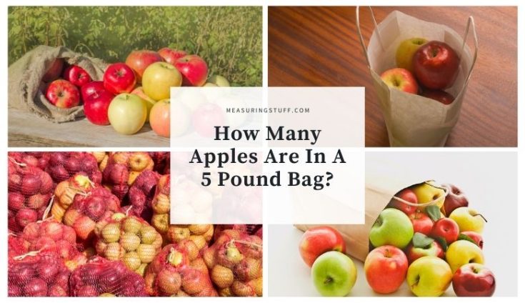 How Many Apples Are In A 5 Pound Bag? – Measuring Stuff