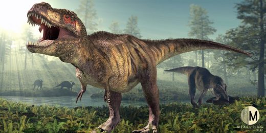 9 Things that are 4 meters long – Measuring Stuff