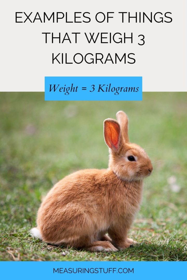 9 Examples Of Things That Weigh 3 Kilograms – Measuring Stuff