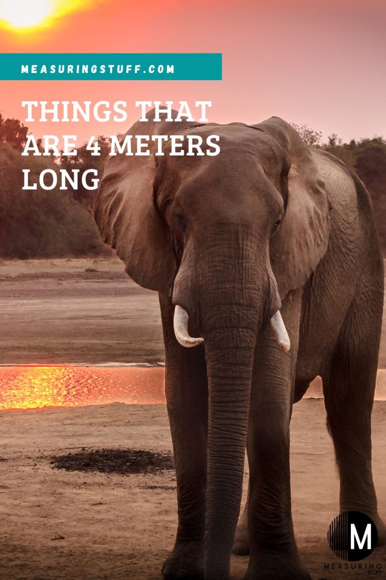 9 Things that are 4 meters long – Measuring Stuff