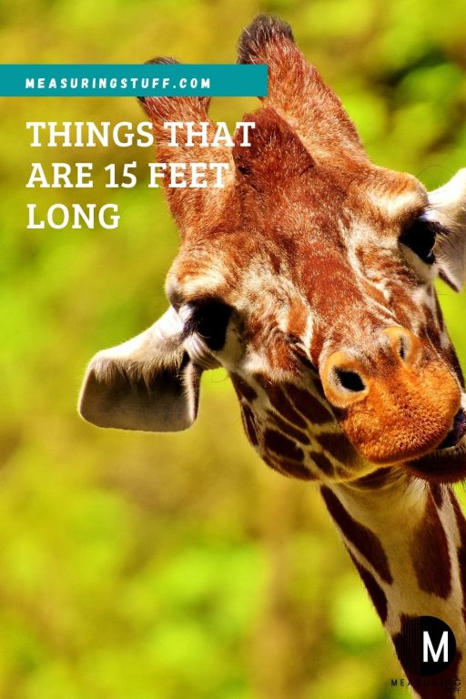 11 Things That Are 15 Feet Long – Measuring Stuff